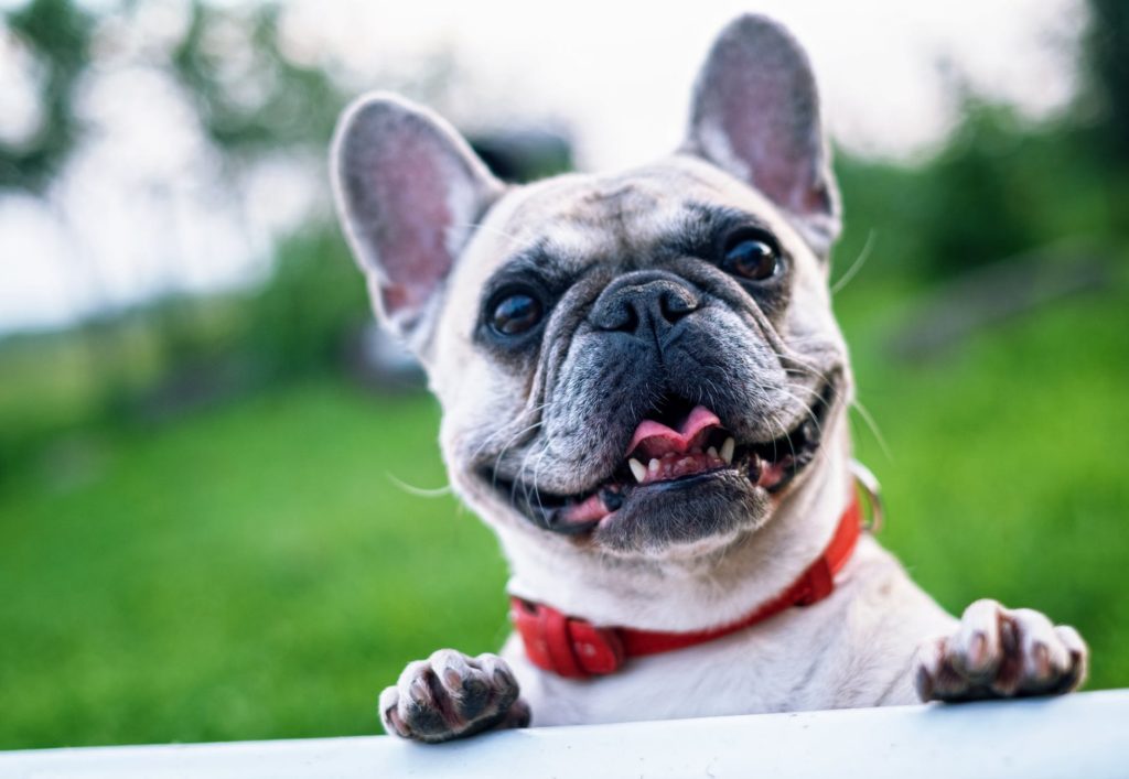 Errands Paralysis- 7 ways to treat it & become more productive| Healthyly