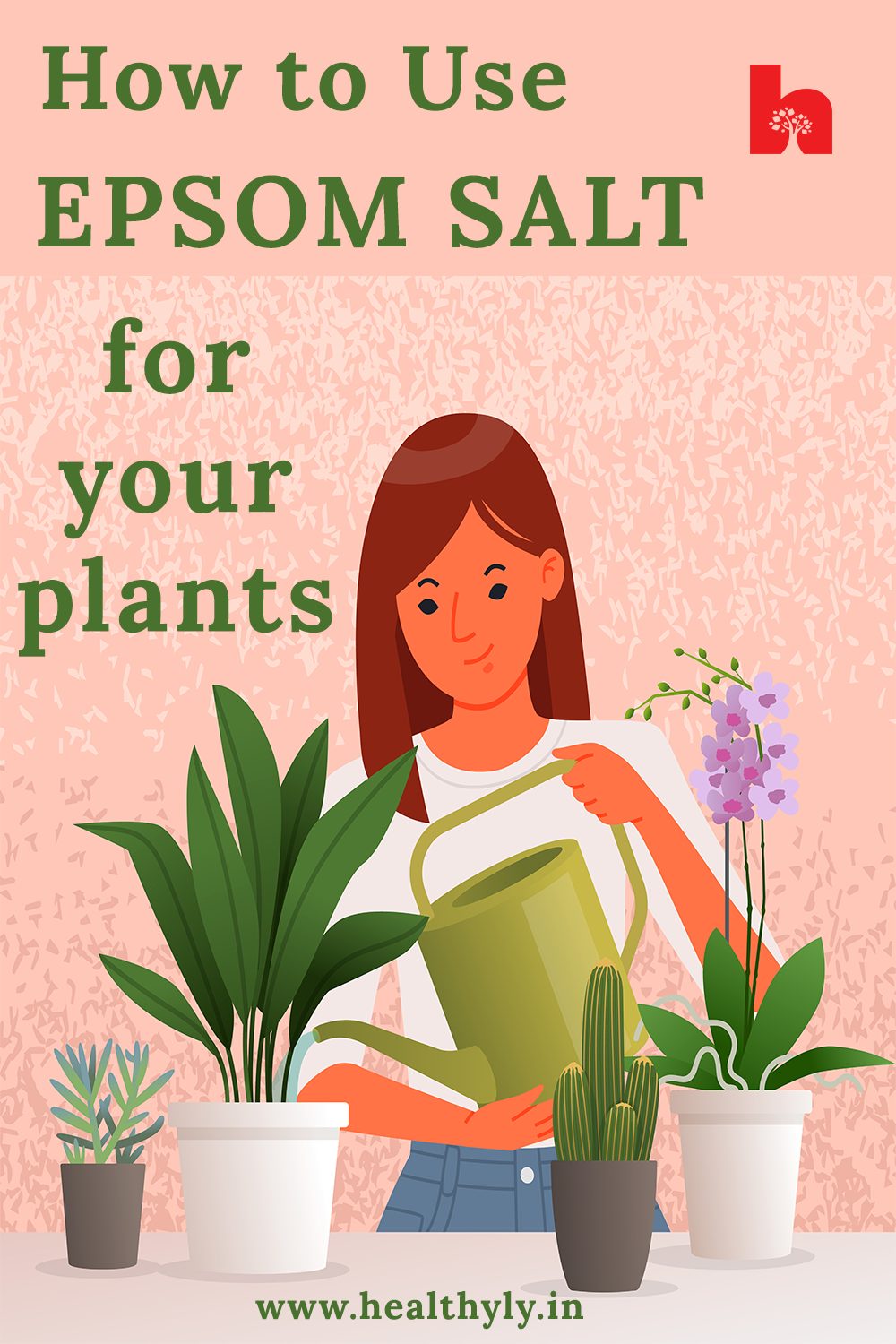 Use of Epsom Salt in Garden: use it like this for big blooms & tasty ...